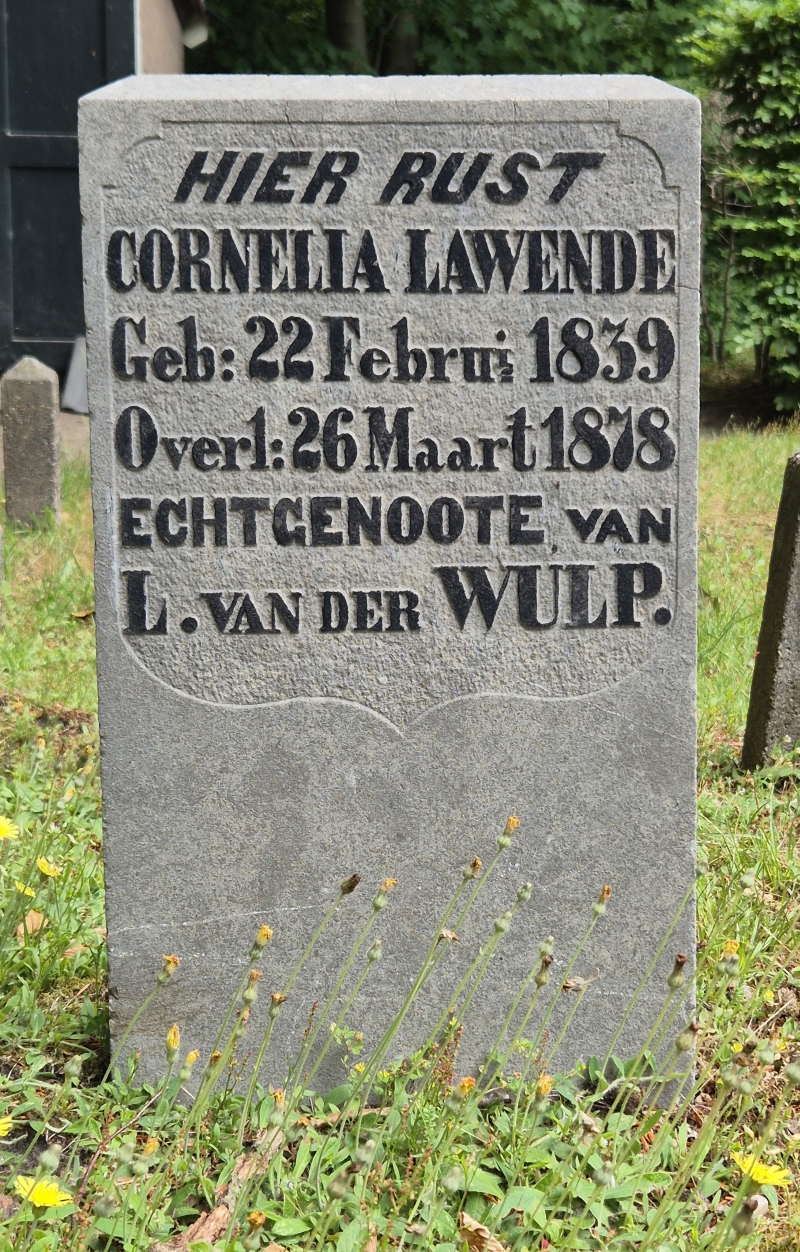 Lodewijk van der Wulp - Cornelia Lawende
